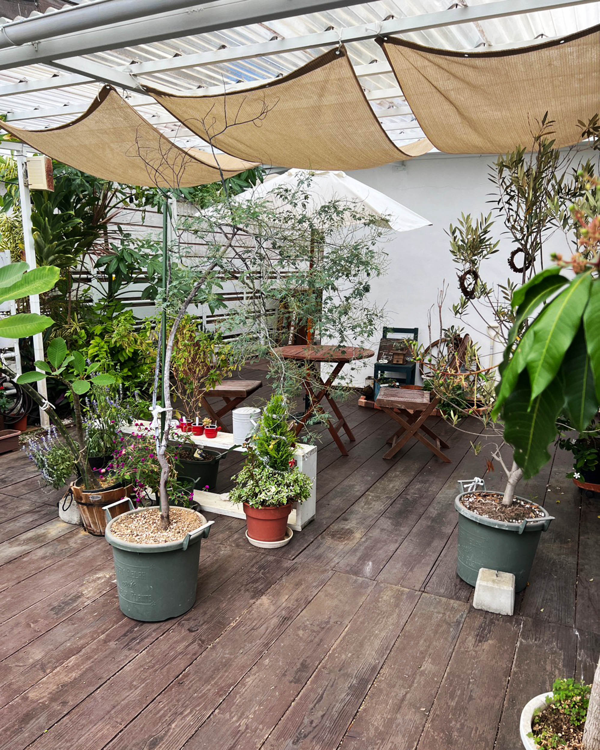 季節を感じるデザートが美味しい、隠れ家的雰囲気のカフェ『cafe shuette（カフェ シュエット）』｜浦添市牧港 ...